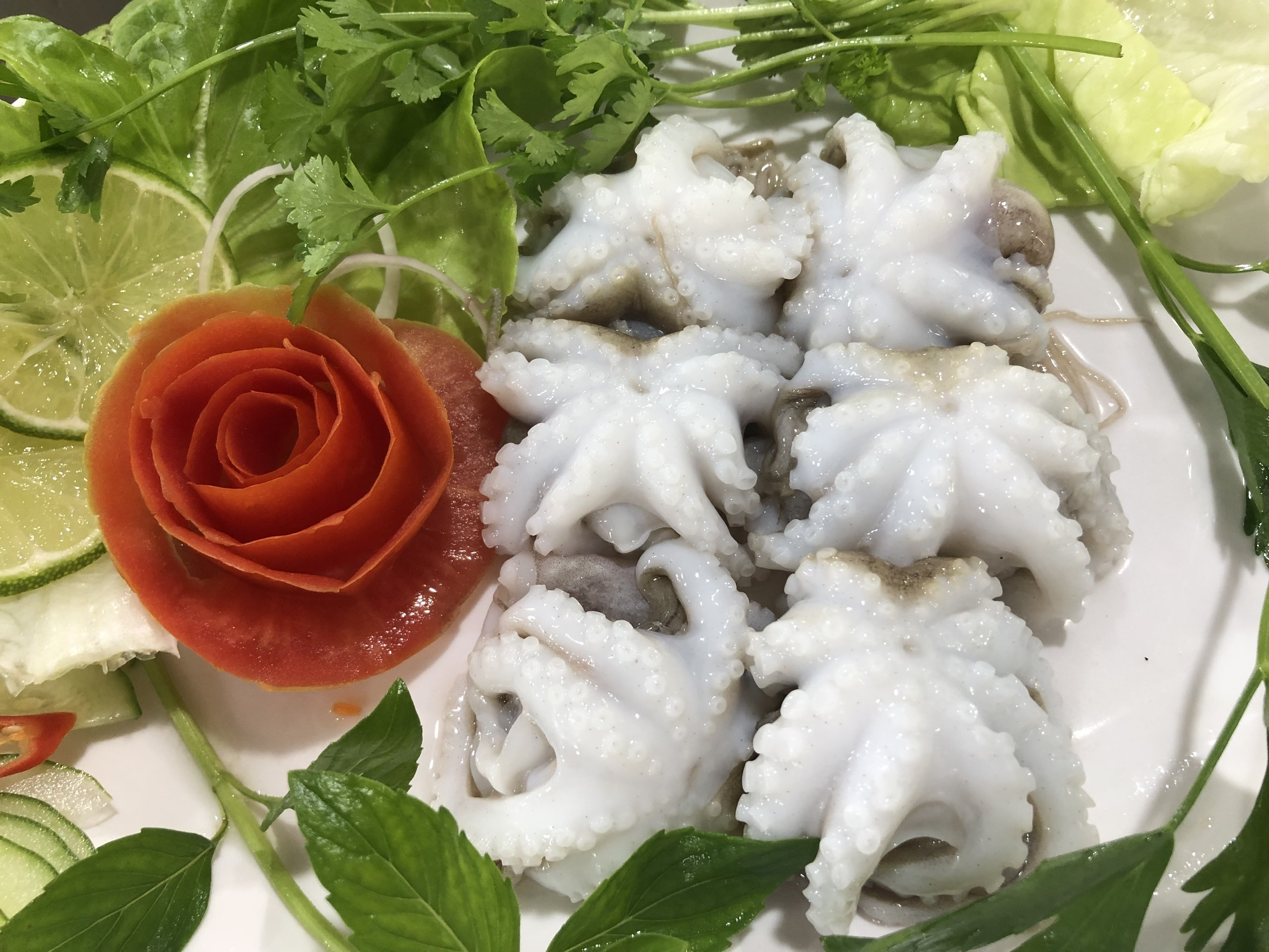 RAW WHOLE CLEANED BABY OCTOPUS